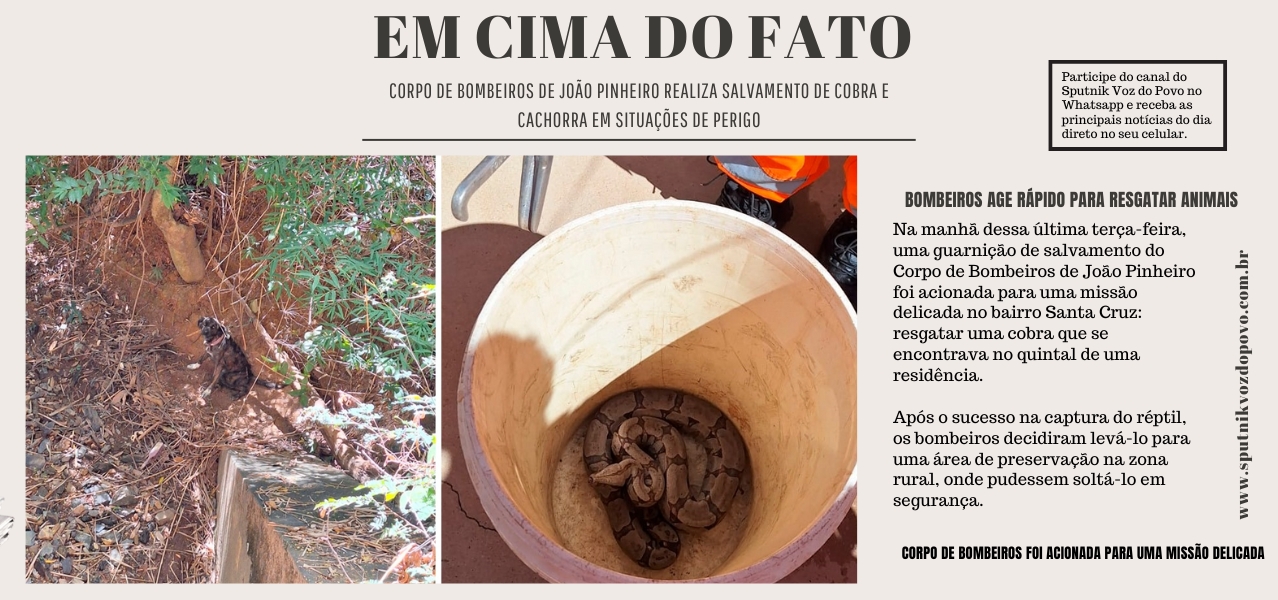Corpo de Bombeiros de João Pinheiro Realiza Salvamento de Cobra e ...
